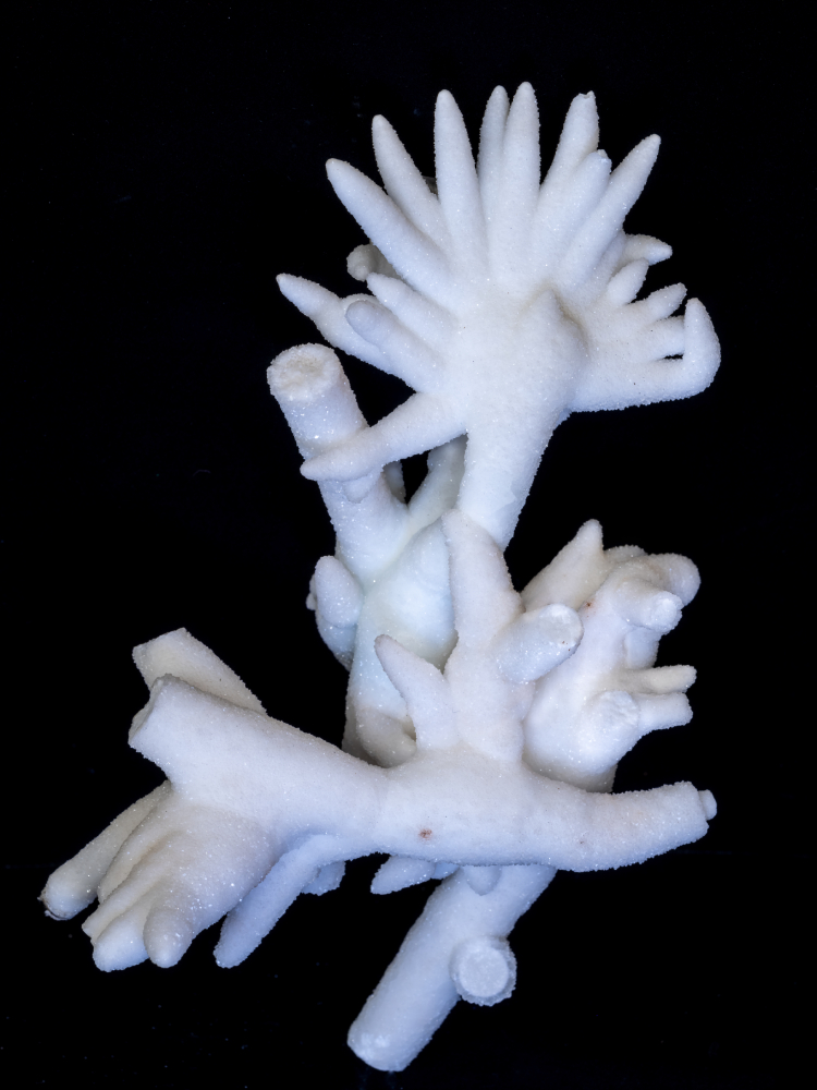 Συλλογή Λαυρεωτικής - ΕΛΛΗΝΙΚΗ ΑΡΧΗ ΓΕΩΛΟΓΙΚΩΝ & ΜΕΤΑΛΛΕΥΤΙΚΩΝ ΕΡΕΥΝΩΝ